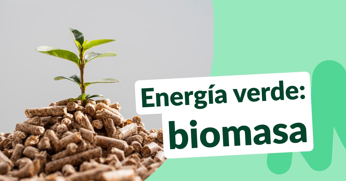 ¿Qué es la biomasa y por qué es una energía renovable clave?
